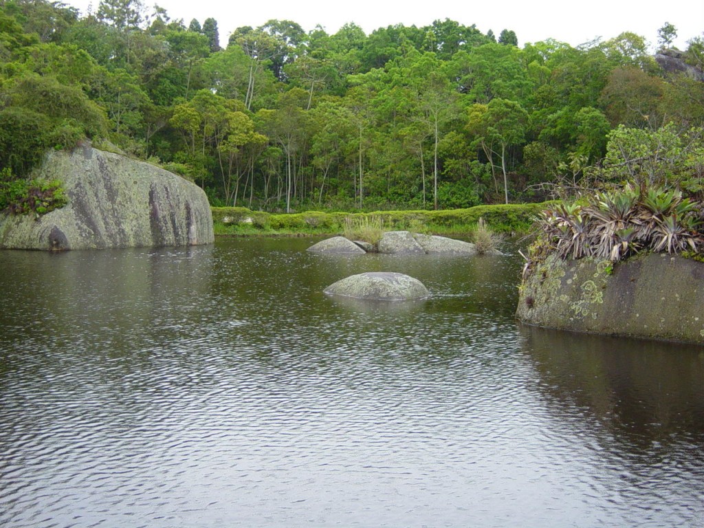 Reserva Natural da Vale do Rio Doce