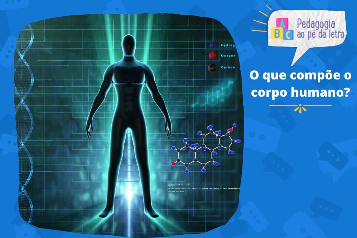 Plano de aula corpo humano para o ensino fundamental com diretrizes da BNCC