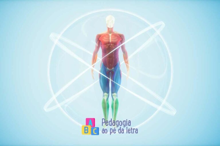 Plano de aula corpo humano para o ensino fundamental com diretrizes da BNCC