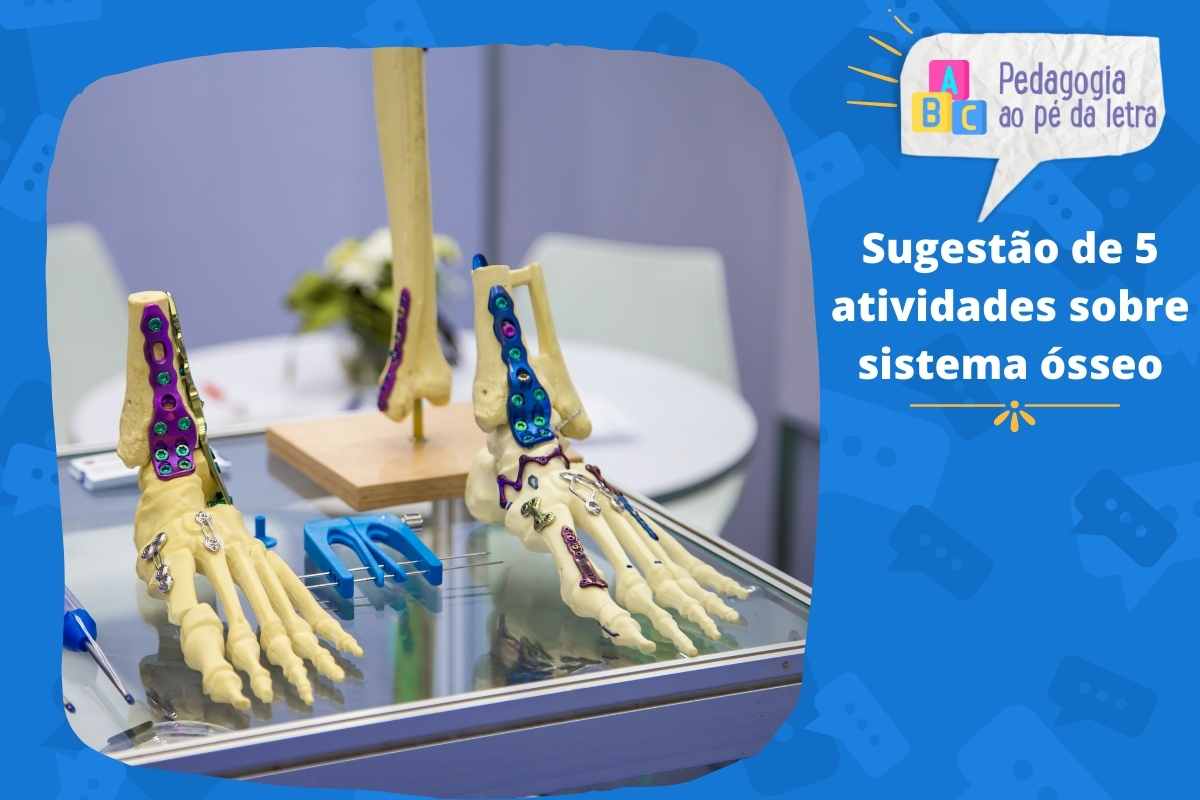 Plano de aula: sistema ósseo para o ensino fundamental de acordo com a BNCC